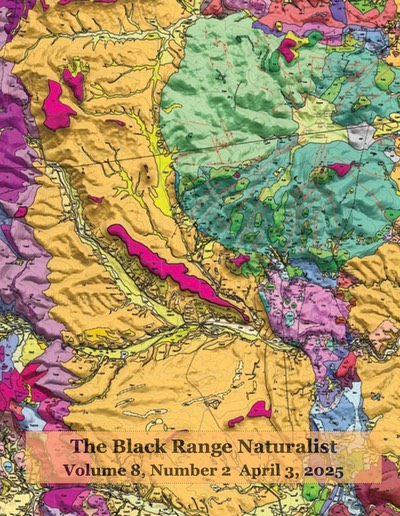 The Black Range Naturalist | The Black Range